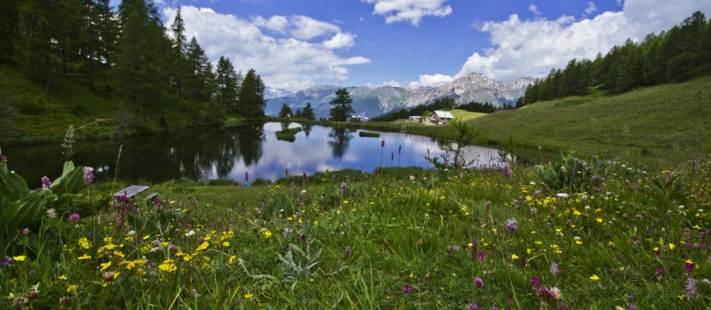 Sauze d'Oulx resort information